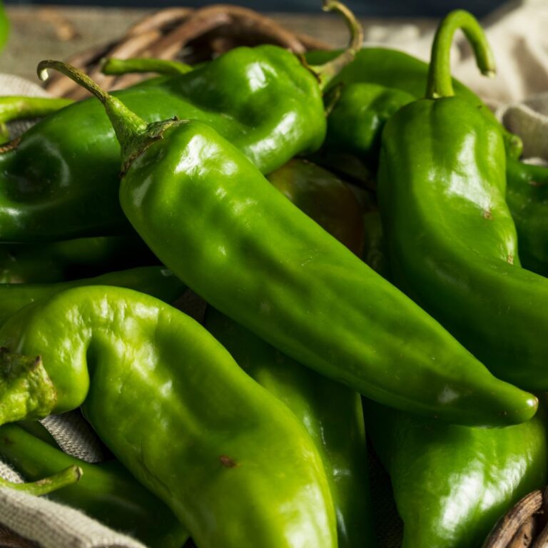 A Guide to Buying Hatch Green Chile: What to Look For, How to Get the ...